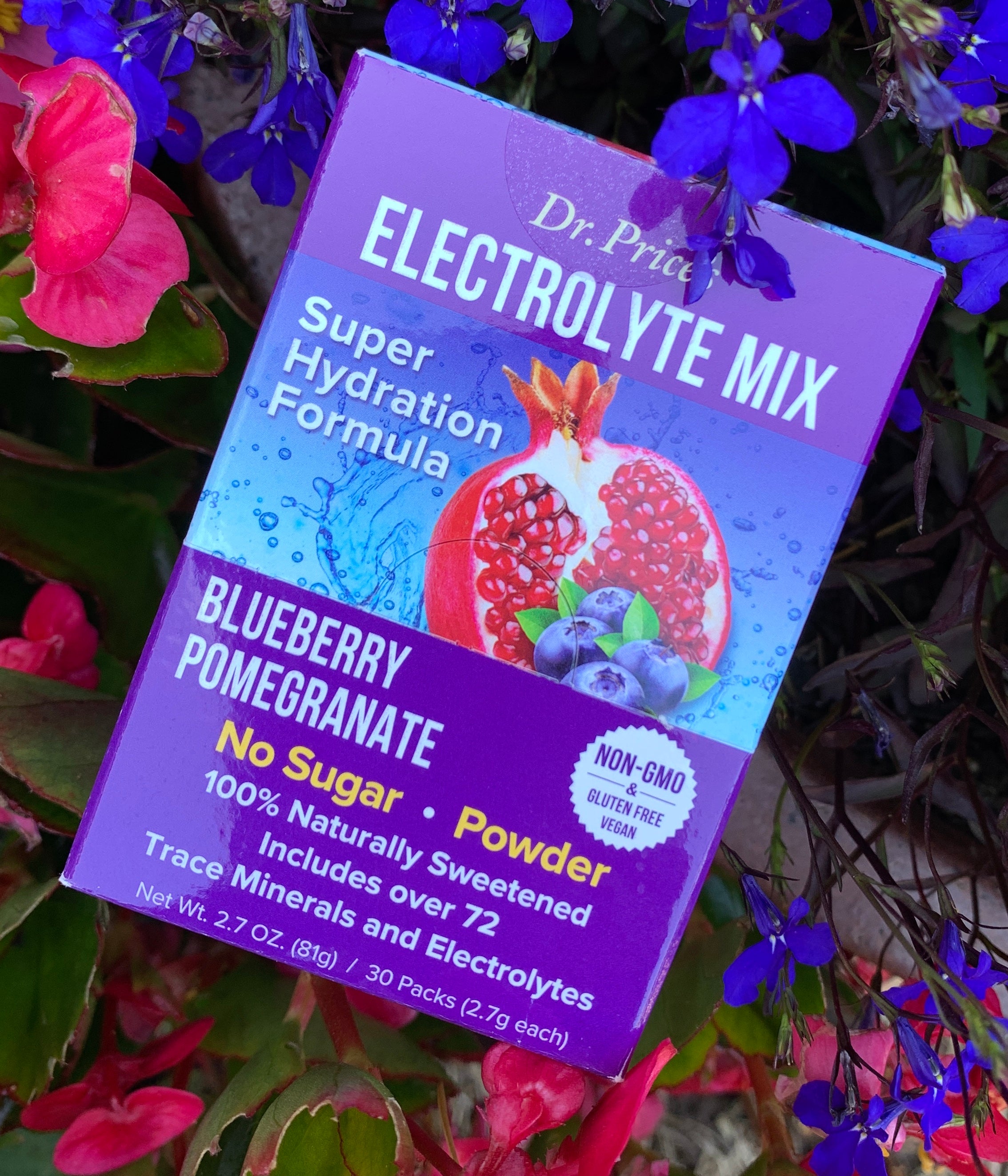 Dr. Price Electrolyte Mix - Blueberry/Pomegranate 30 Packets – Vita Life